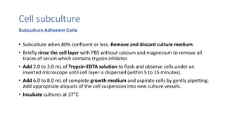 NGUYENTHINHI-W3.pptx