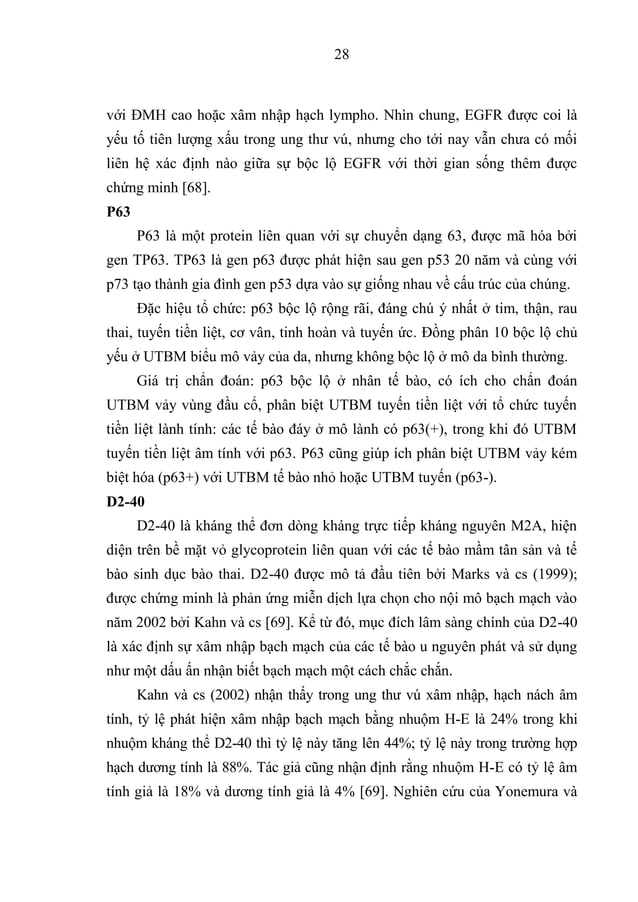 Luận án: áp dụng phân loại phân tử ung thư biểu mô tuyến vú, HAY | PDF