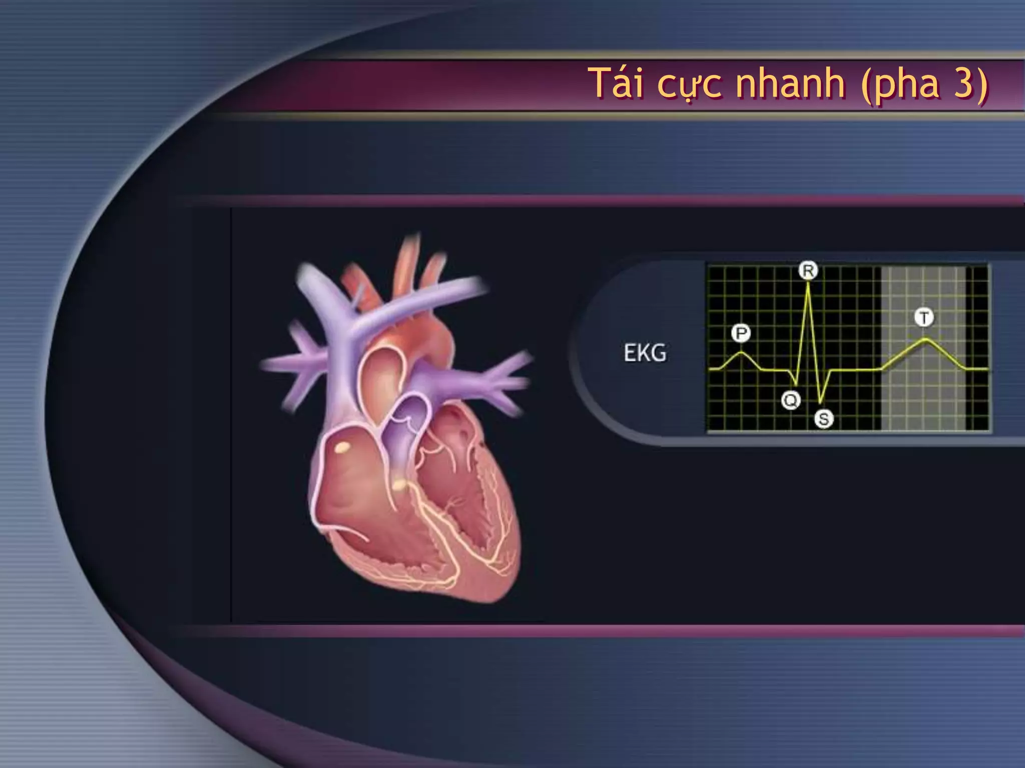Nguyen ly do dien tim | PPTX