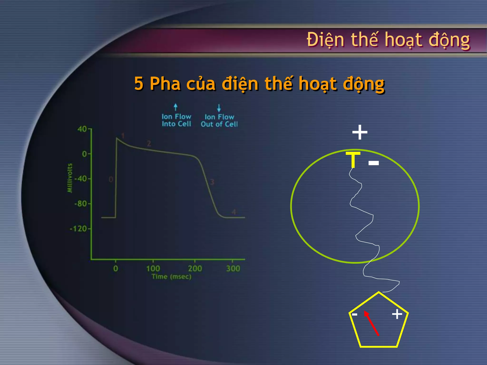 Nguyen ly do dien tim | PPTX