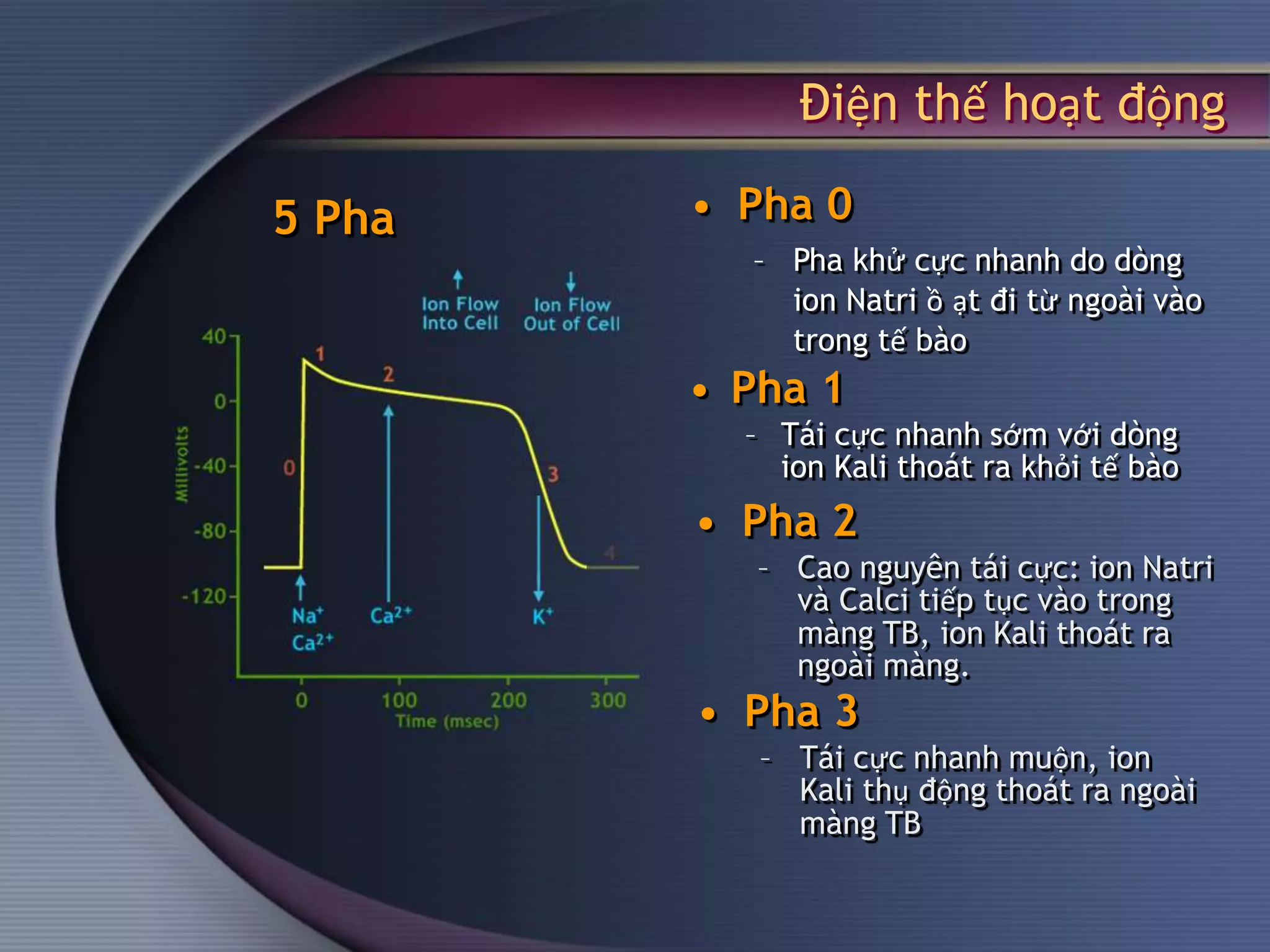 Nguyen ly do dien tim | PPTX