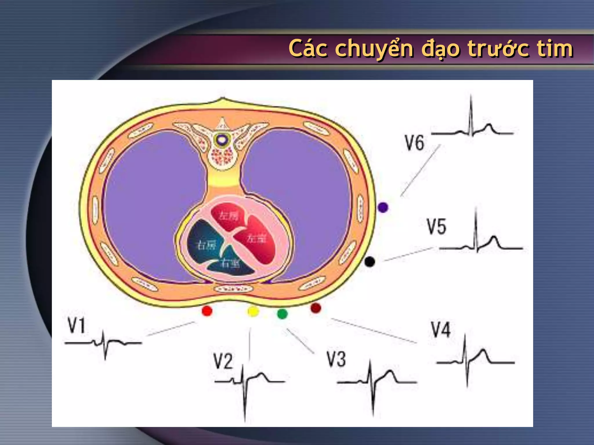 Nguyen ly do dien tim | PPTX