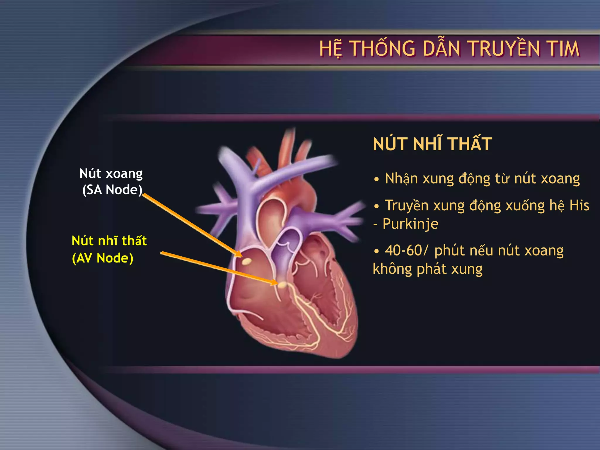Nguyen ly do dien tim | PPTX