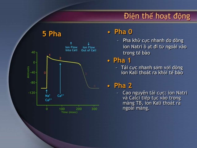 Nguyen ly do dien tim | PPTX
