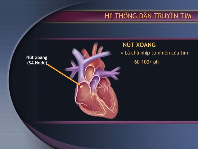 Nguyen ly do dien tim | PPTX