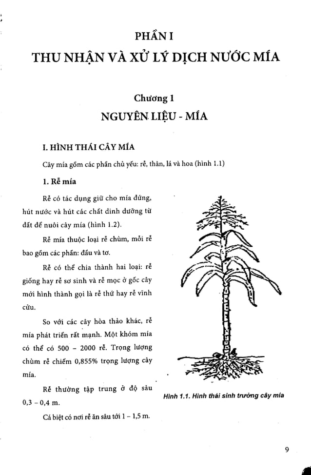 Nguyễn ngộ - Công nghệ đường mía | PDF