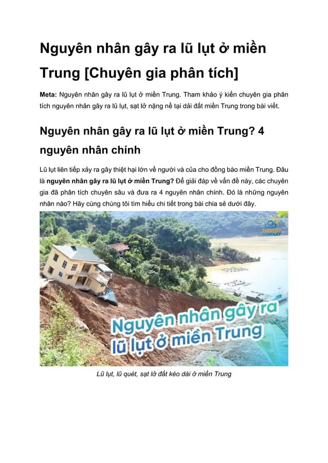 nguyên nhân gây ra lũ lụt ở miền trung.docx