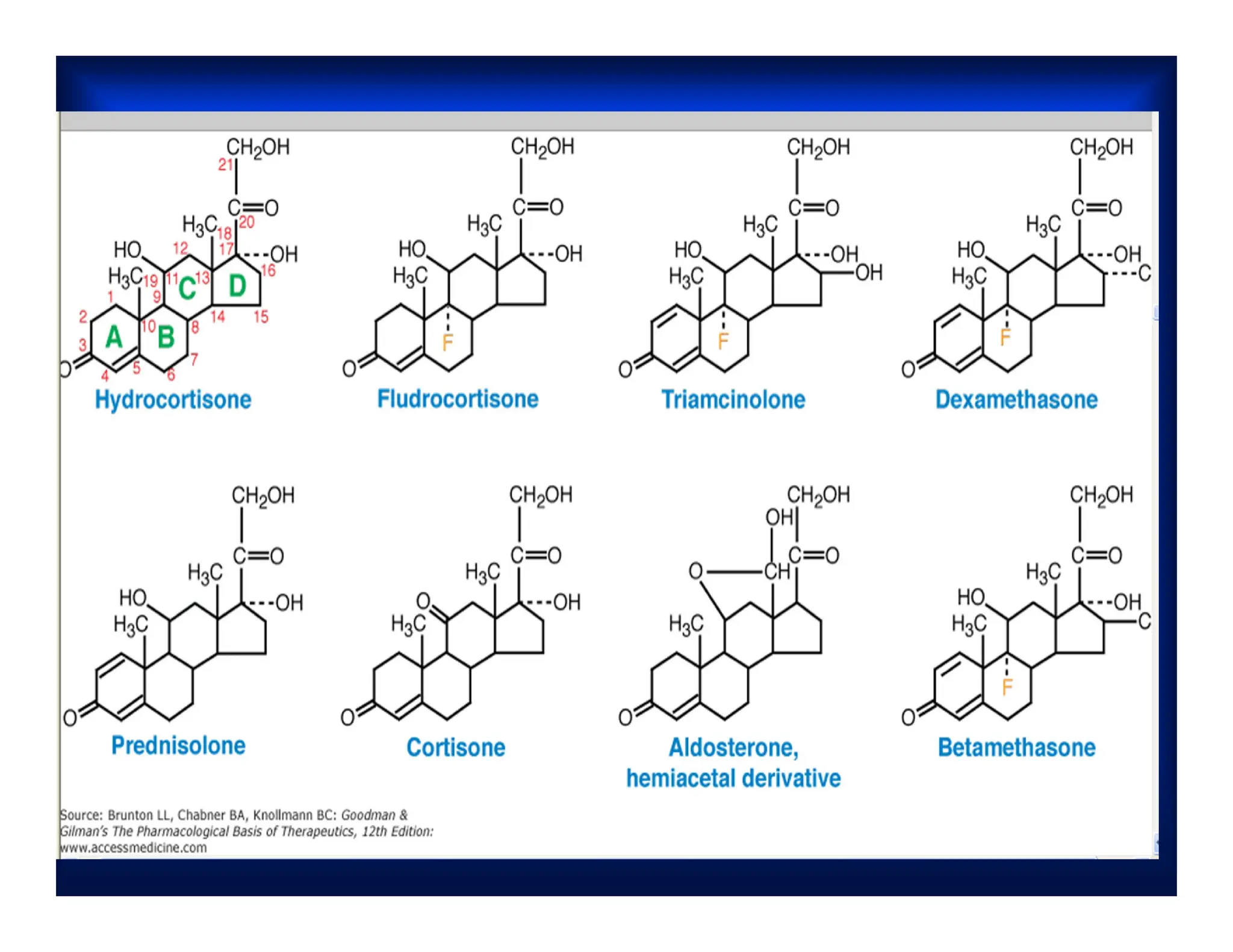 NGUYÊN TẮC SỬ DỤNG CORTICOID.pdf