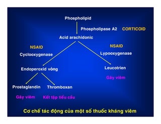 NGUYÊN TẮC SỬ DỤNG CORTICOID.pdf