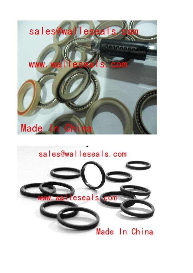 CNG NGV fuel nozzel lip seals | PDF