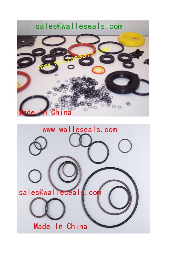 CNG NGV fuel nozzel lip seals | PDF