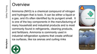 NH3 PRESENTATION.pptxDSADSADSADSADASDASDAS | PPTX