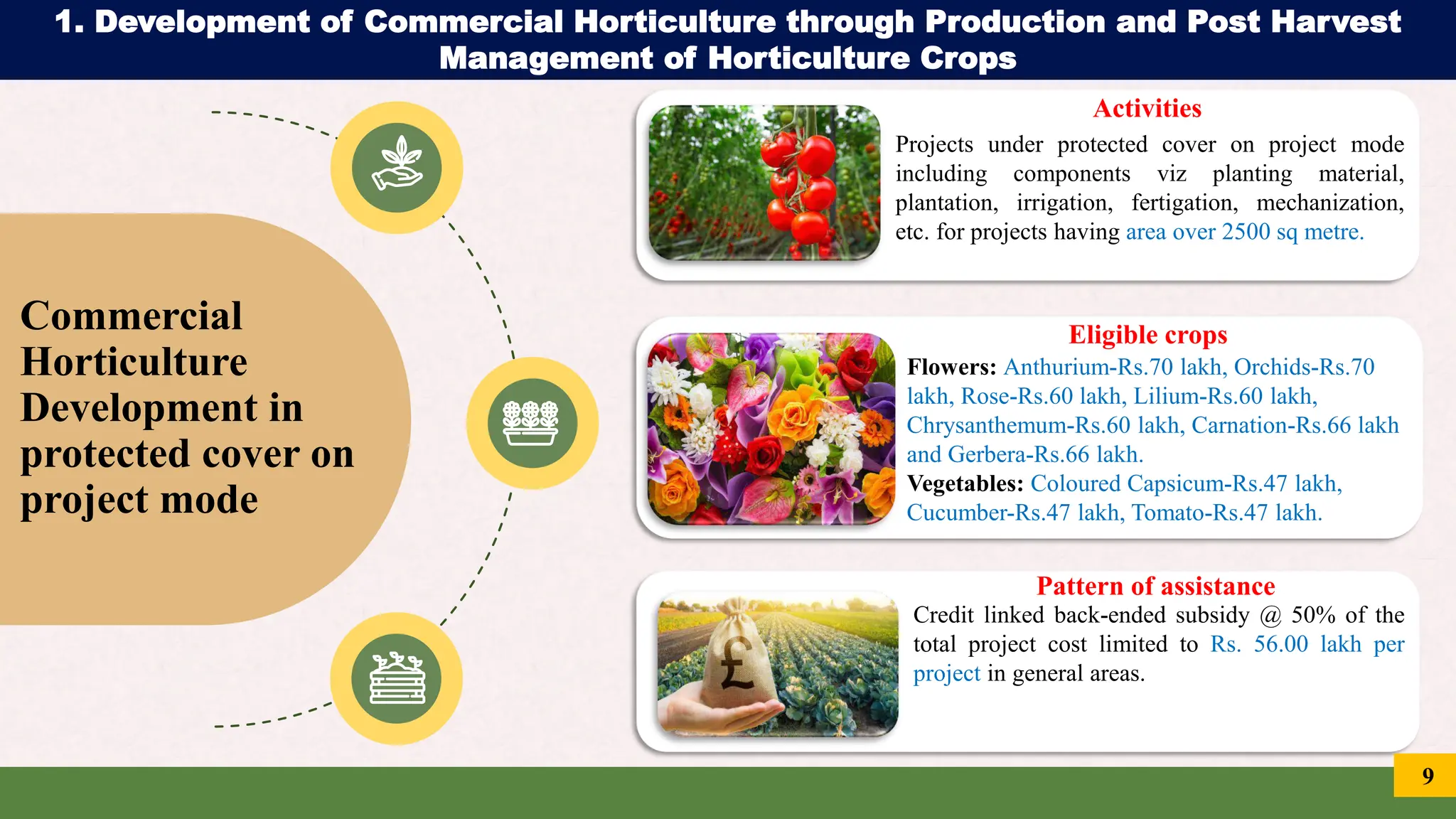 NHB PPT of horticulture schemes and data | PDF