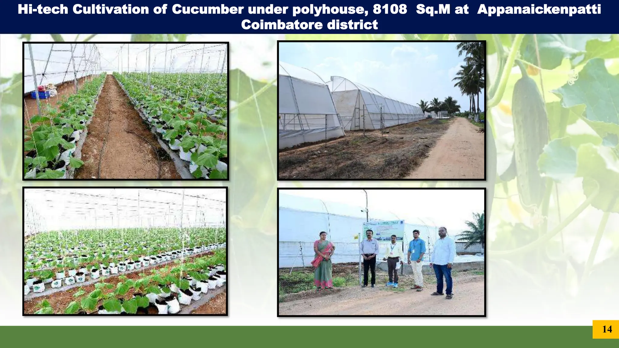 NHB PPT of horticulture schemes and data | PDF