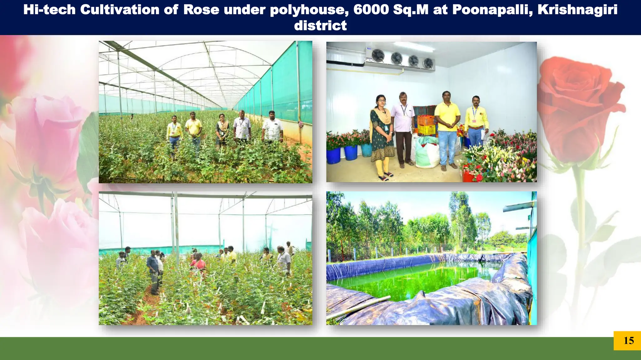 NHB PPT of horticulture schemes and data | PDF