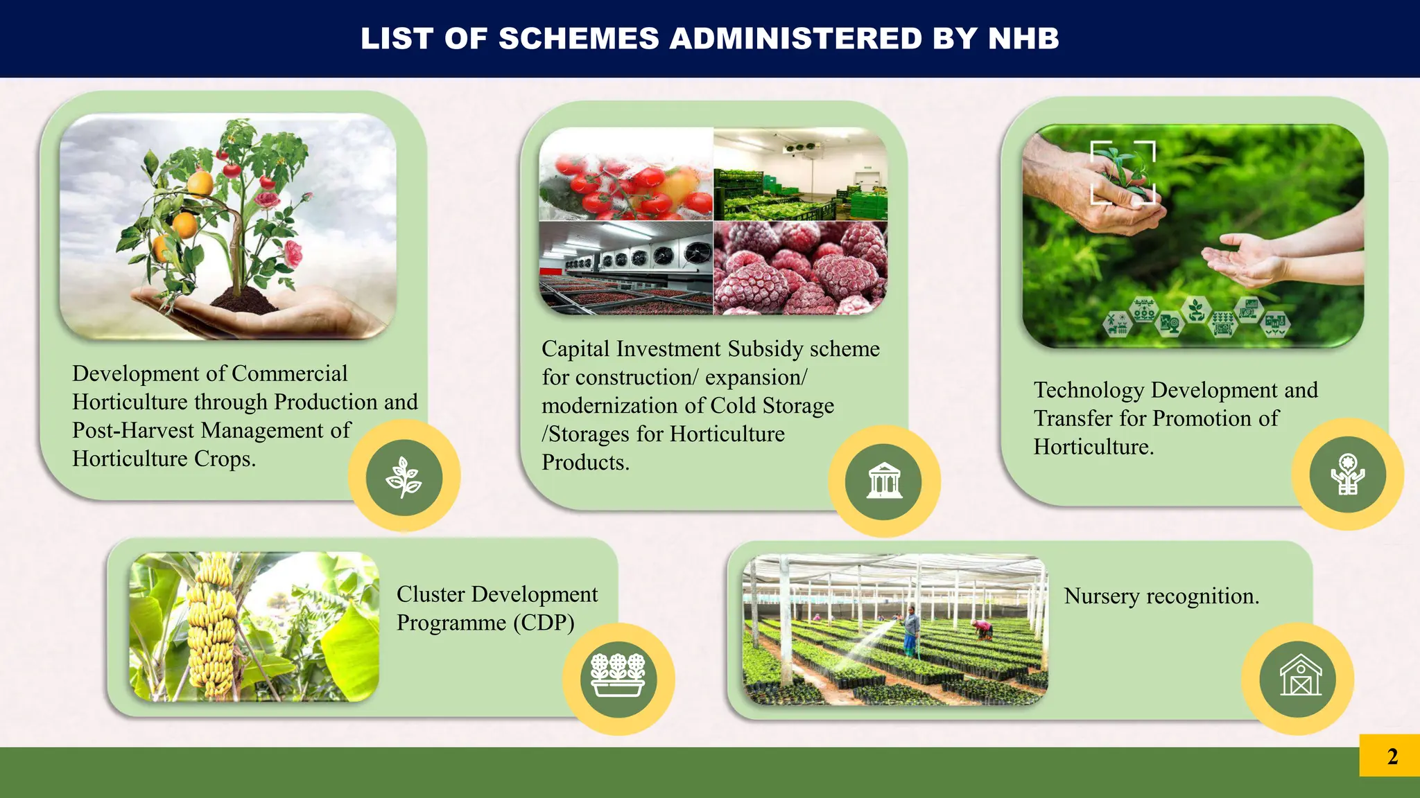 NHB PPT of horticulture schemes and data | PDF