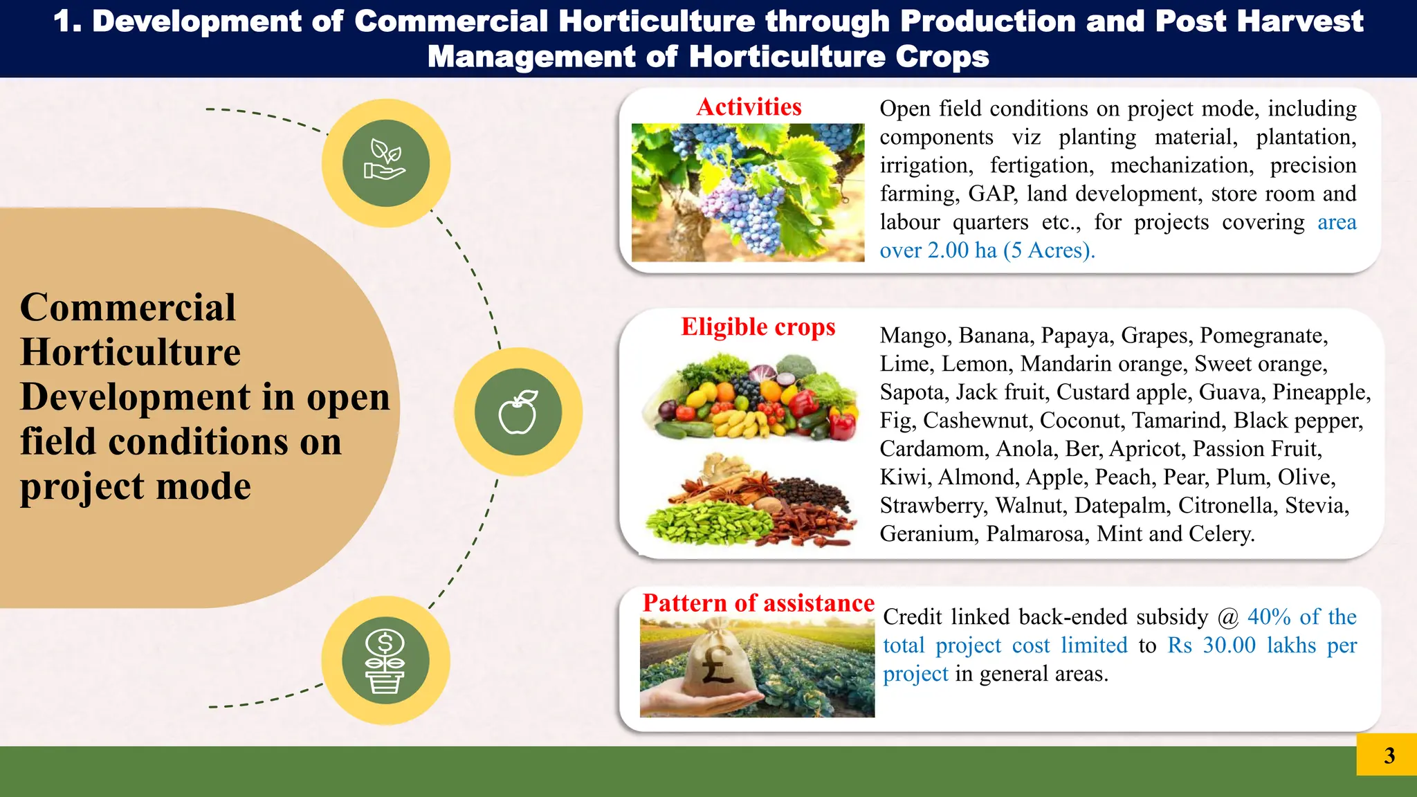 NHB PPT of horticulture schemes and data | PDF
