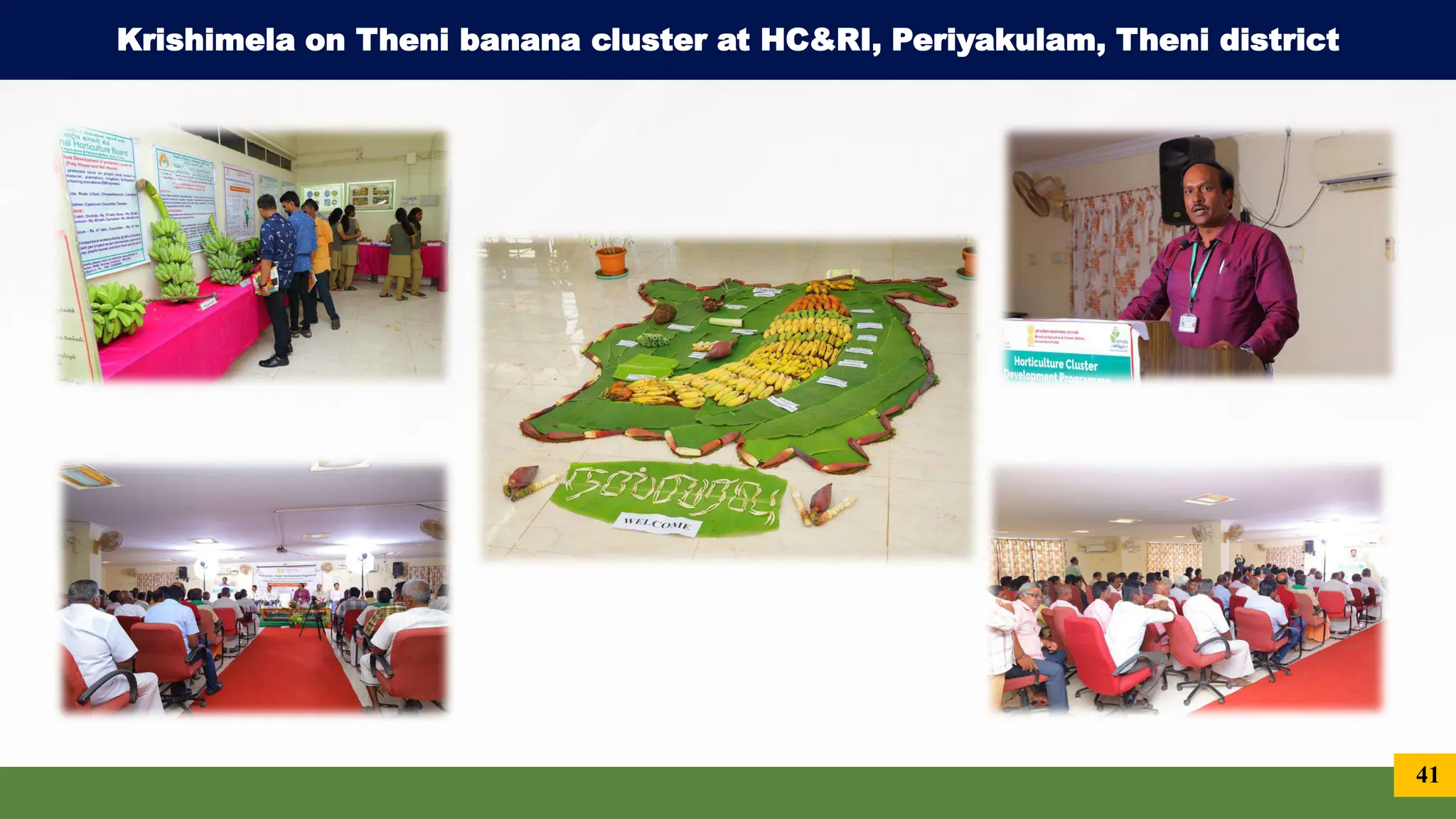 NHB PPT of horticulture schemes and data | PDF