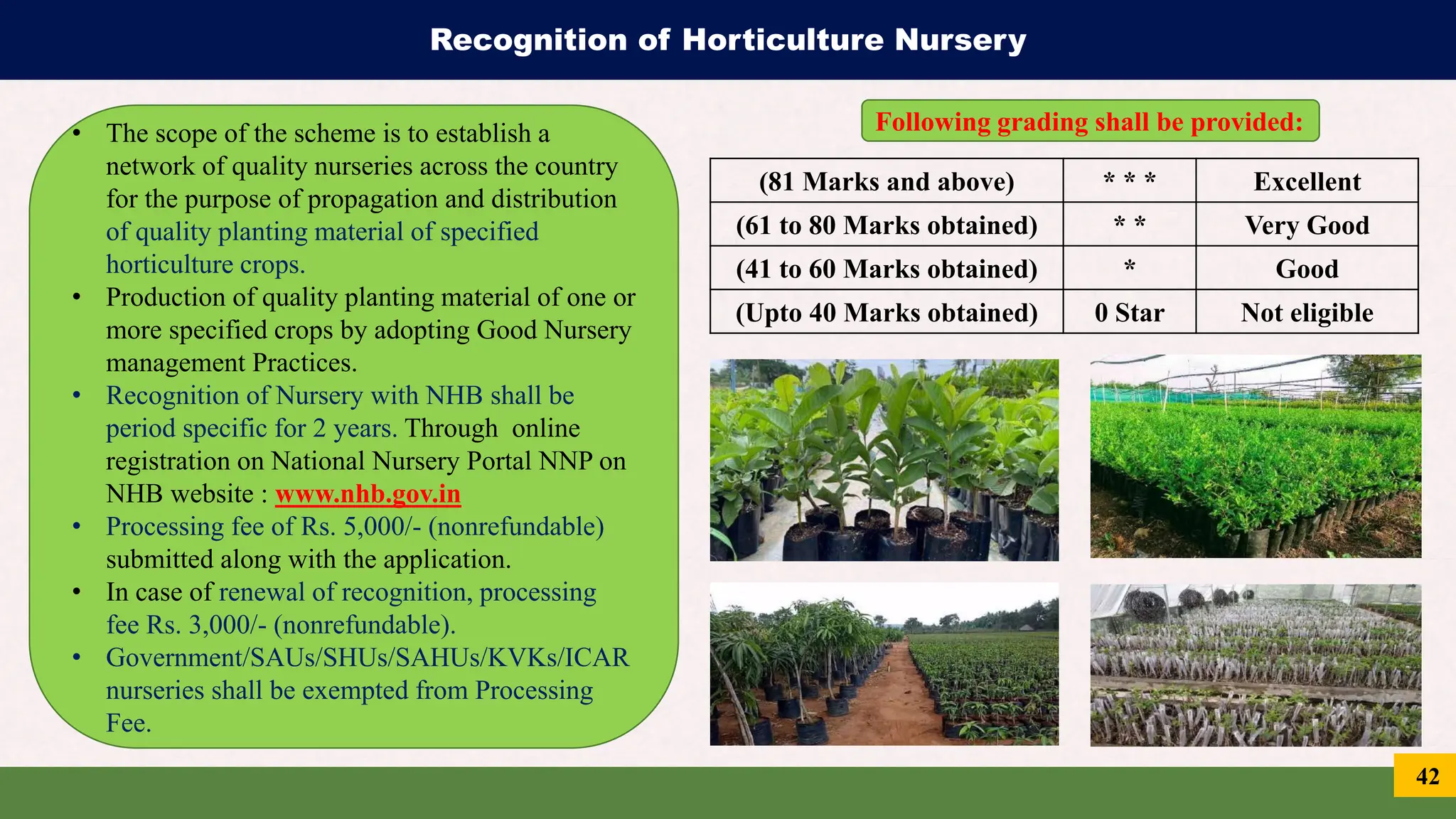 NHB PPT of horticulture schemes and data | PDF