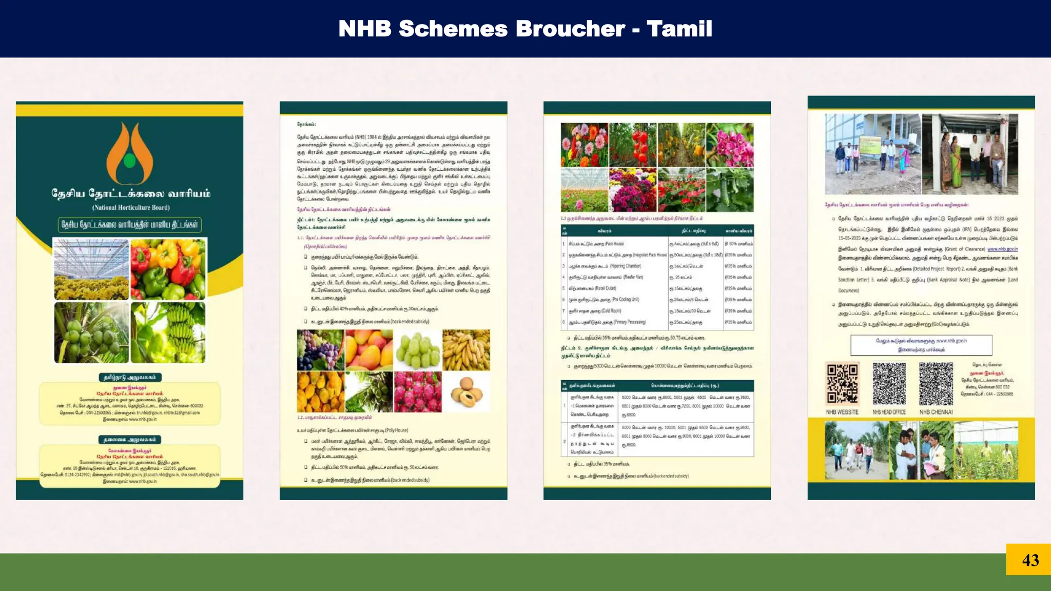 NHB PPT of horticulture schemes and data | PDF