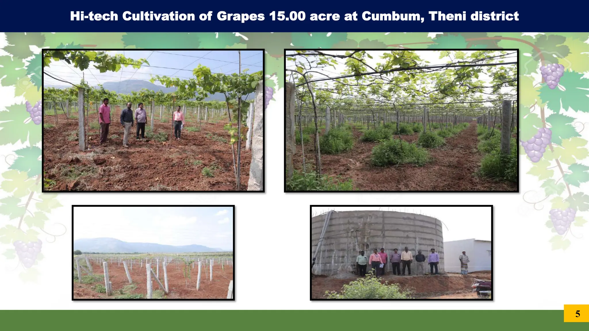 NHB PPT of horticulture schemes and data | PDF