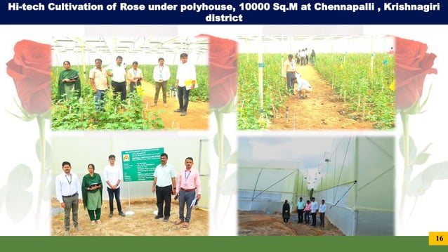 NHB PPT of horticulture schemes and data | PDF