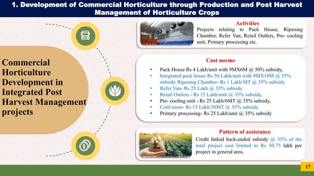 NHB PPT of horticulture schemes and data | PDF