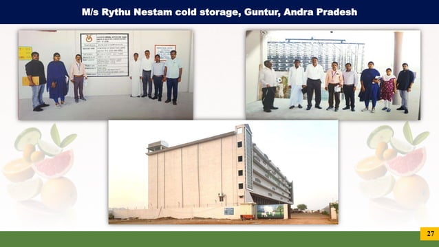 NHB PPT of horticulture schemes and data | PDF