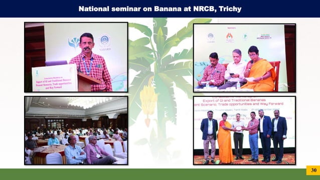 NHB PPT of horticulture schemes and data | PDF