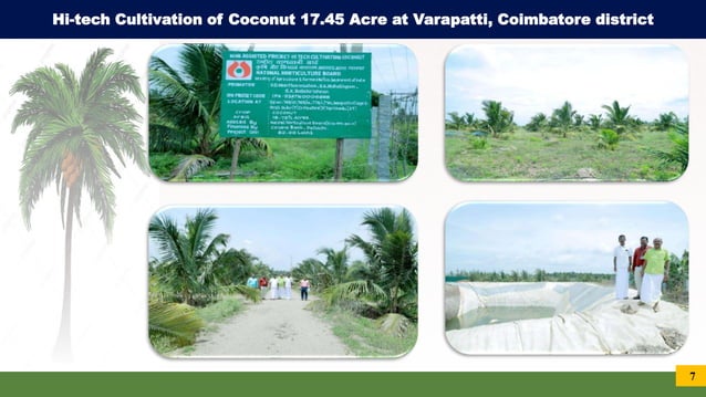 NHB PPT of horticulture schemes and data | PDF