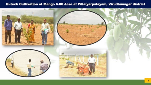 NHB PPT of horticulture schemes and data | PDF