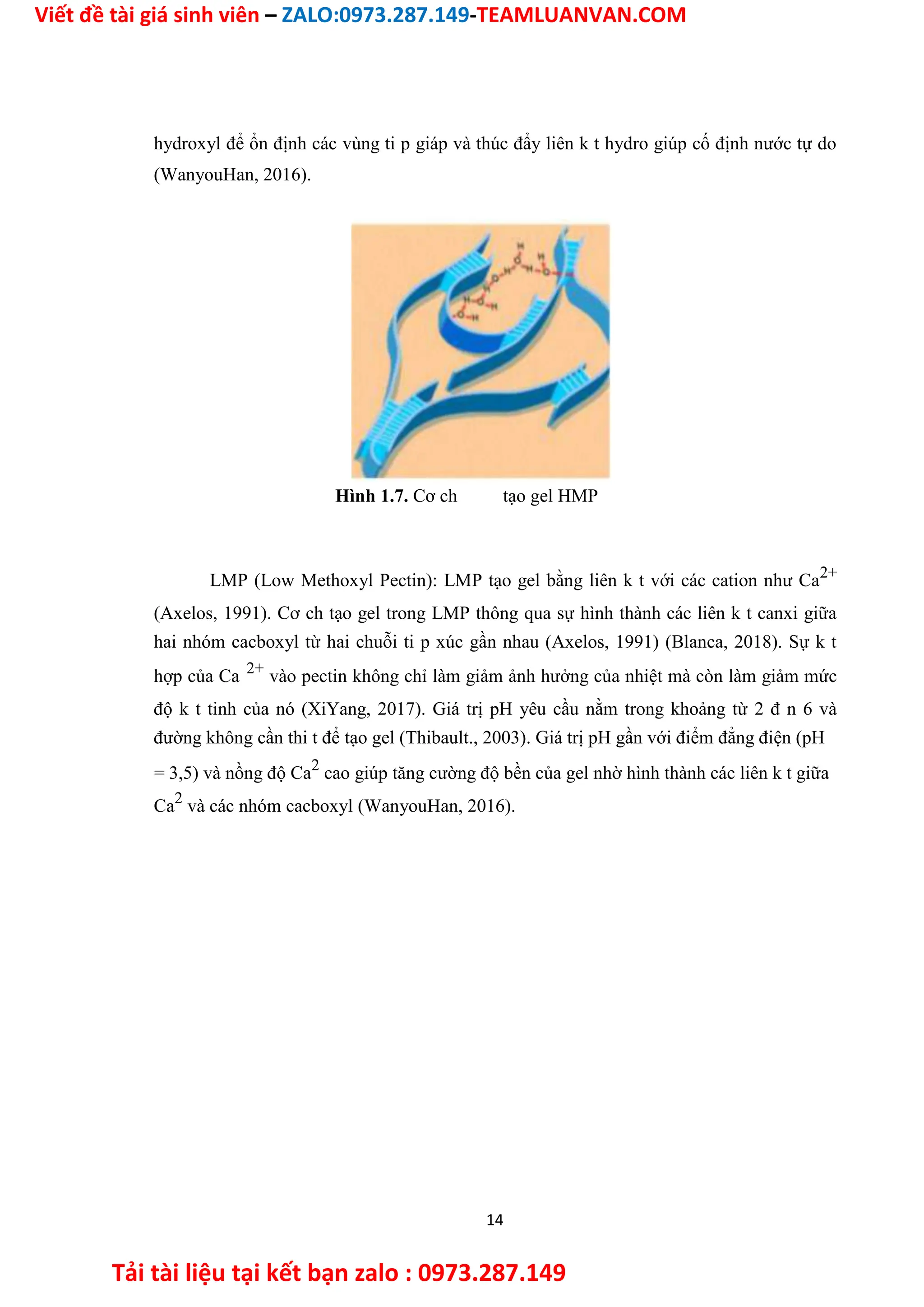 (Đồ án hcmute) đánh giá chất lượng pectin trích ly từ vỏ cam trong sản xuất kẹo dẻo.doc