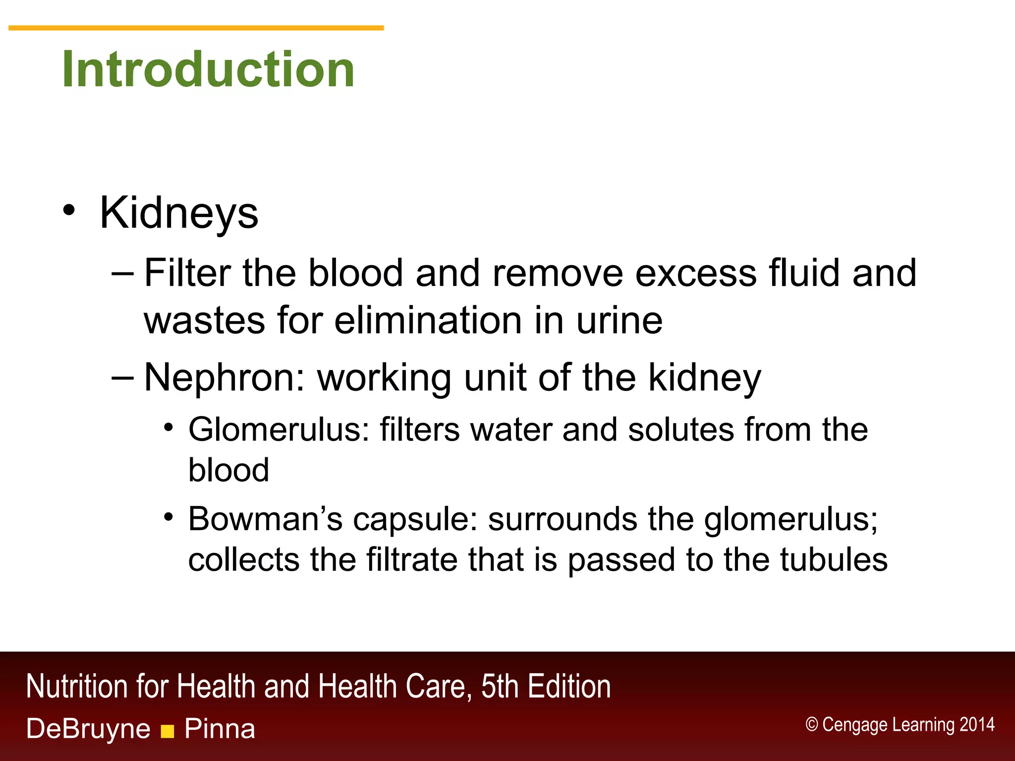 NHHC chapter 22 ppt | PPT
