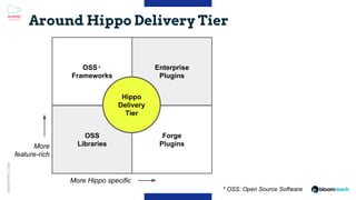N hidden gems you didn't know hippo delivery tier and hippo (forge ...