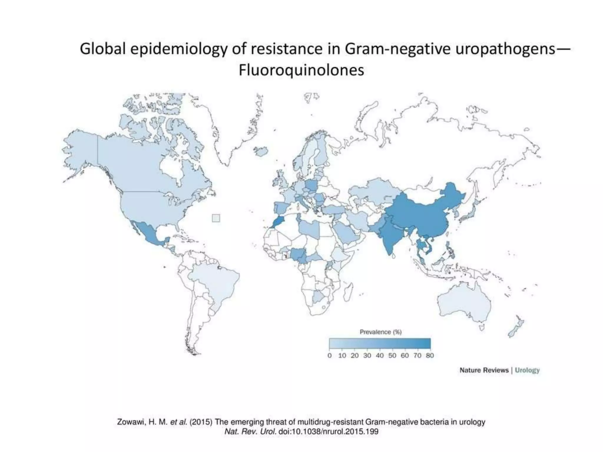 Nhiễm khuẩn đường tiết niệu - Urinary tract infection (UTI) | PPTX