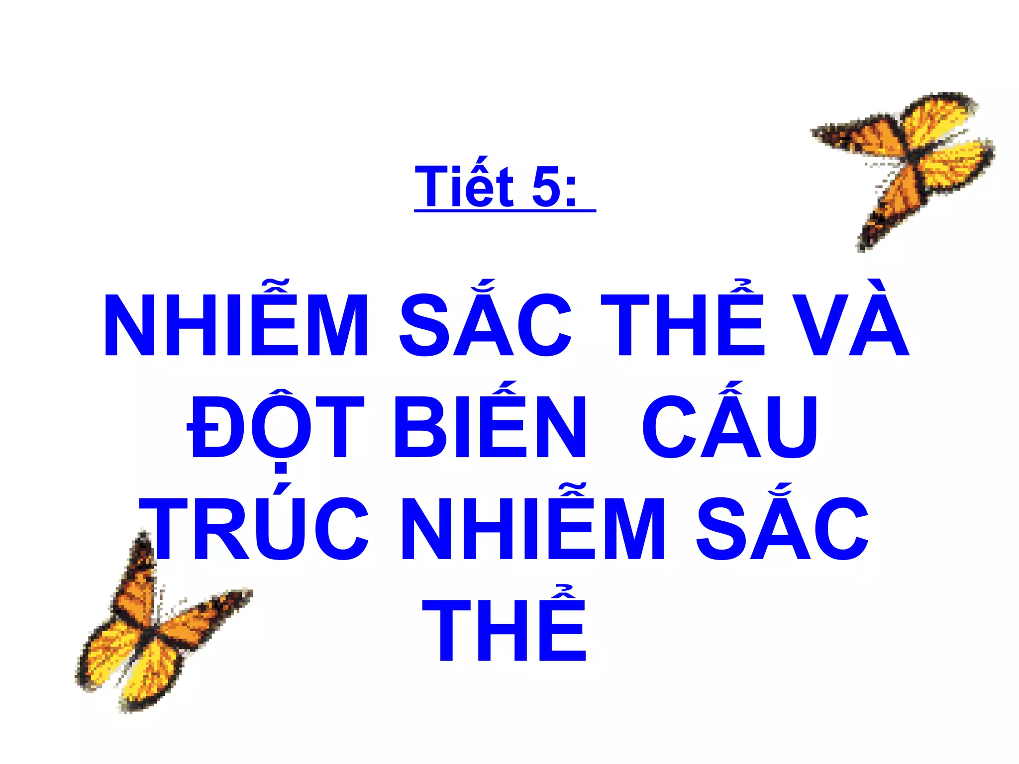 Nhiễm Sắc Thể Và Đột Biến Nhiễm Sắc Thể Luyện Thi đại Học Sinh Học Ppt