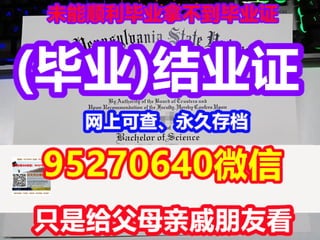 USYD毕业证 | PDF