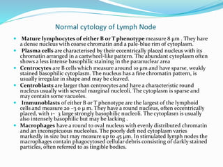 Non Hodgkin Lymphoma, cytology. | PPTX