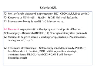 Non Hodgkin Lymphoma | PPTX
