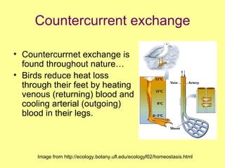 Nh lm322 renal_2006 | PPT