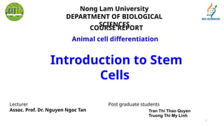 Animal cell differentiation Introduction to Stem Cells | PPTX
