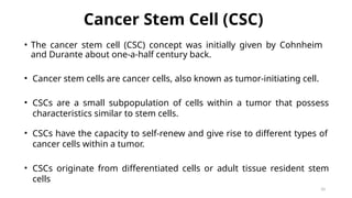Animal cell differentiation Introduction to Stem Cells | PPTX