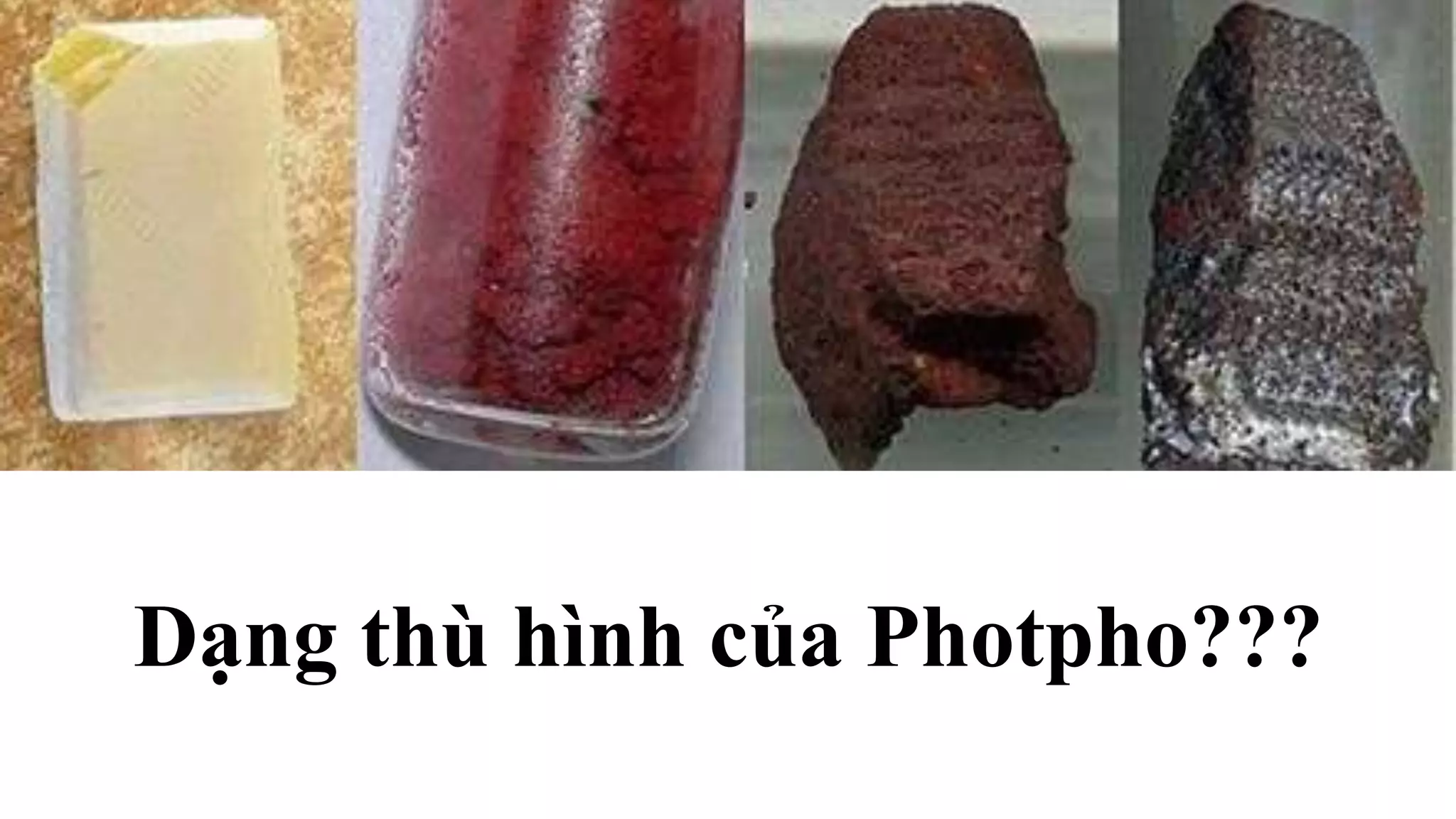 NHÓM 2 PHOTPHO-PPT.pptx