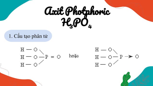 NHÓM 2 PHOTPHO-PPT.pptx