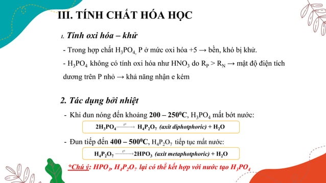 NHÓM 2 PHOTPHO-PPT.pptx