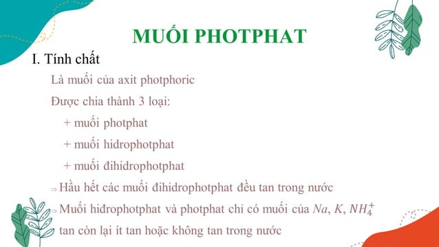 NHÓM 2 PHOTPHO-PPT.pptx