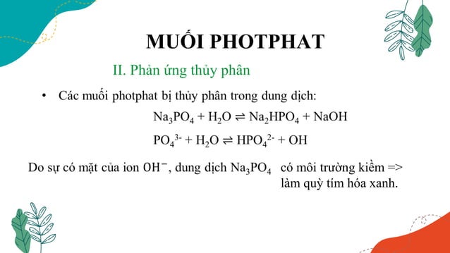 NHÓM 2 PHOTPHO-PPT.pptx