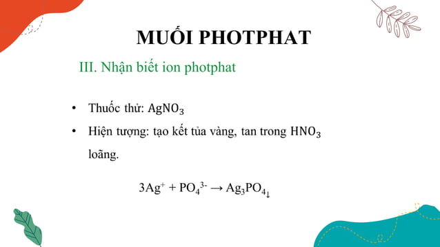 NHÓM 2 PHOTPHO-PPT.pptx