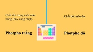 NHÓM 2 PHOTPHO-PPT.pptx