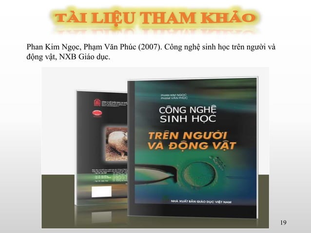 các bào quan trong tế bào động vật | PPTX
